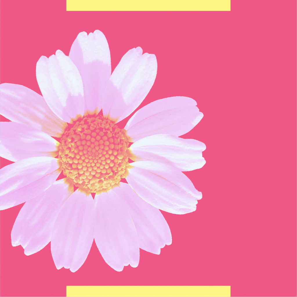 Outubro Rosa: como surgiu e porque é tão importante